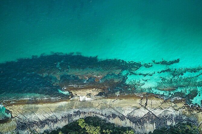 Jervis Bay, Kiama & Kangaroo Valley Day Trip From Sydney-PVT - What Makes This Tour Stand Out