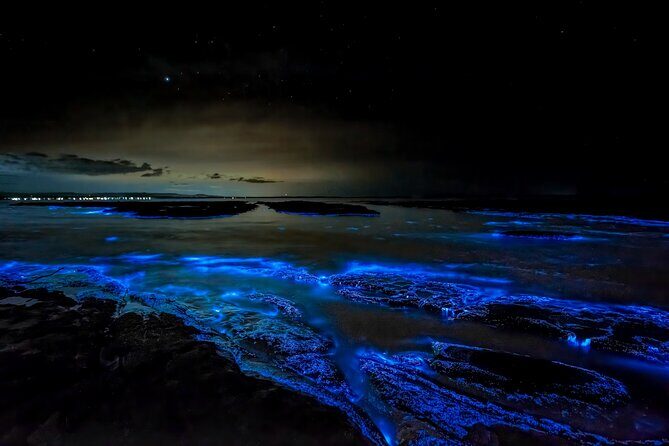 Jervis Bay, Kiama & Kangaroo Valley Day Trip From Sydney-PVT - FAQs