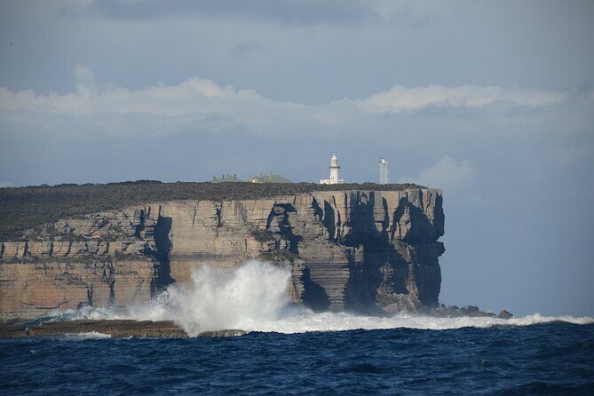 Jervis Bay Passage Tour - Exploring the Jervis Bay Passage Tour in Detail