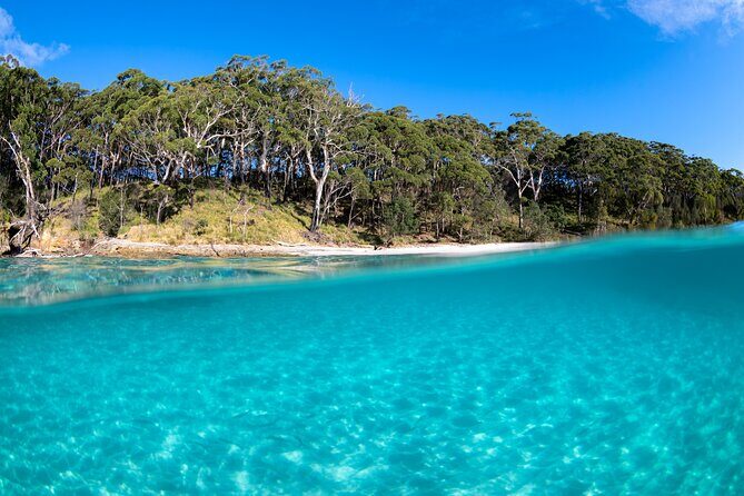 Jervis Bay Private Tour - Pick up & Drop off - Final Thoughts