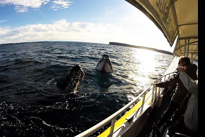 Jervis Bay Whale Watching Tour - Final Thoughts
