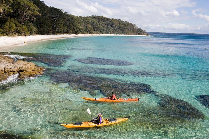 Jervis Bay Whale Watching Tour - FAQ