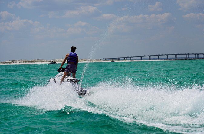 Jet Ski Dolphin Tour from Gilligans Watersports - Who Will Get the Most Out of This Tour?