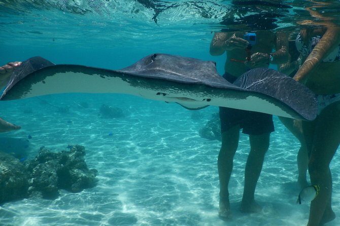 Jet-ski excursion 3 hrs Jet ski excursion to Moorea (single or two-seater) - FAQ: Your Practical Questions Answered