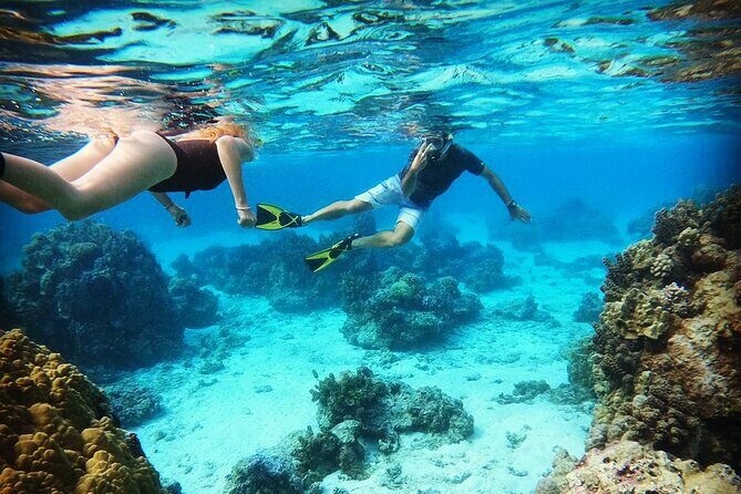 Jet Ski Moorea Private Tour only - Authentic Traveler Insights