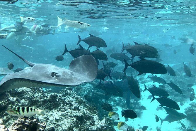 Jet Ski Moorea Private Tour only - FAQ