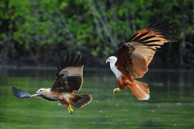 Jet Ski Through Langkawis Stunning Mangrove Andaman Sea - FAQ