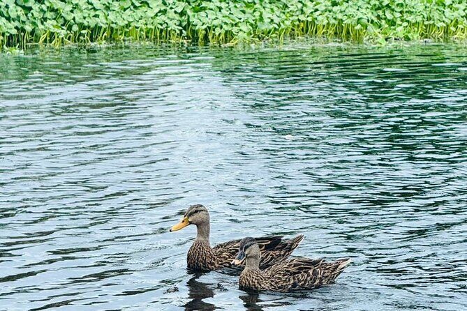 Jet Ski Tour at Lake Osborne  Guided Adventure, West Palm Beach - FAQ
