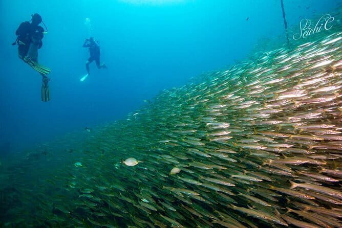 Jetcar Phuket Lake Circuit Experience - Reviews: Authentic Feedback from Participants