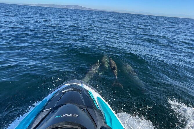 Jetski Adventure: Guided Trip from Long Beach to Catalina Island - Who Is This Tour Best For?