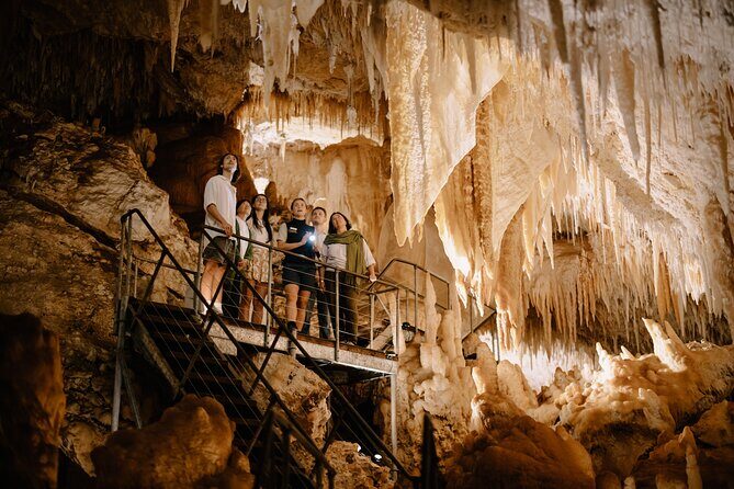 Jewel Cave Fully-guided Tour (Located in Western Australia) - An In-Depth Look at the Jewel Cave Experience
