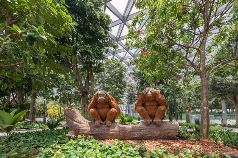 Jewel Changi Airport: Hedge Maze and Canopy Park Ticket - FAQs