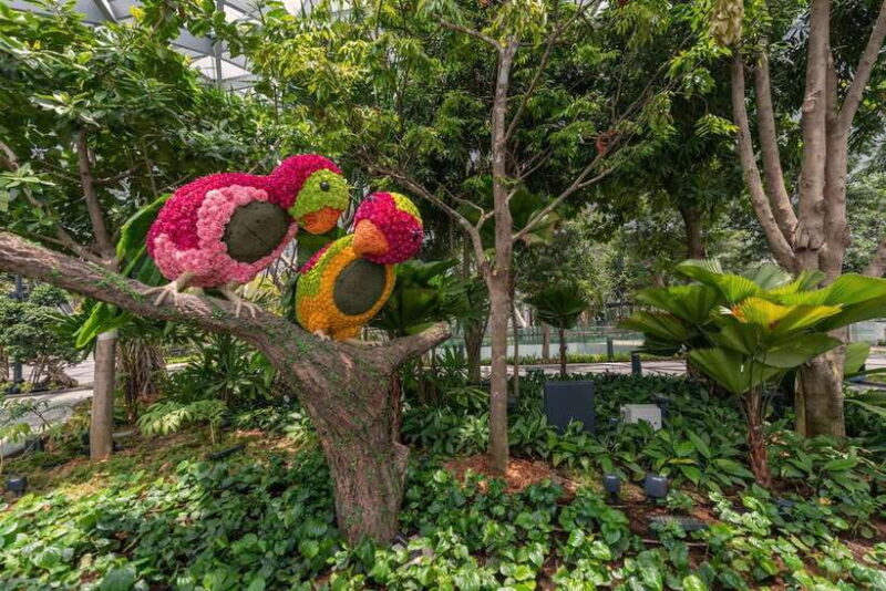 Jewel Changi Airport: Sky Nets Admission Ticket - Who Should Consider This Experience?