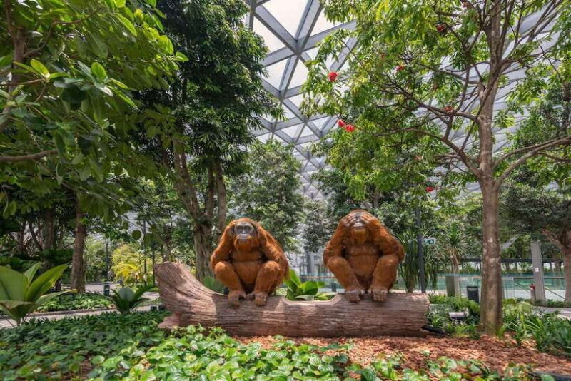 Jewel Changi Airport: Sky Nets Admission Ticket - The Sum Up