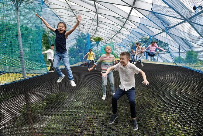 Jewel Changi Airport: Walking Net + Complimentary Canopy Park - Key Points