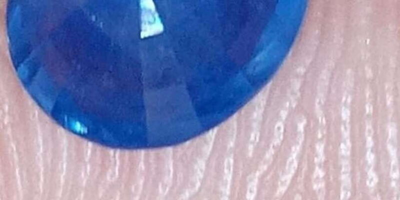 Jewel Hunt Tour of Colombo Shore Excursion from Colombo Port - What Travelers Say