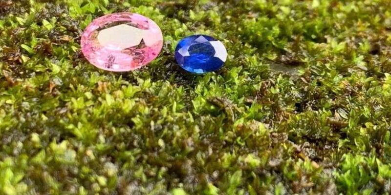 Jewel Hunt Tour of Colombo Shore Excursion from Colombo Port - Final Thoughts