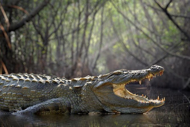 Jewels of Sri Lanka (16 Days) - Final Thoughts: Who Will Love This Tour?