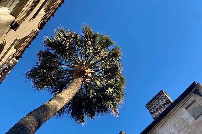 Jewish History Private Walking Tour of Charleston - An In-Depth Look at the Tour