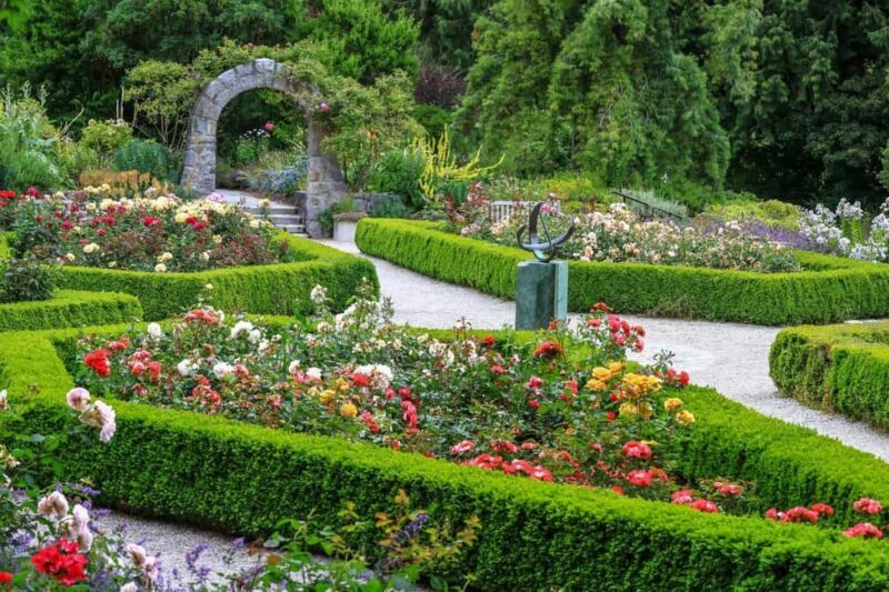 Jewish History Vancouver Oakridge Private Walking Tour - The Practicalities: What You Need to Know