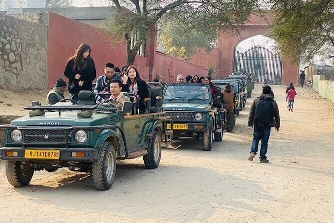 Jhalana Wildlife Private Jeep Safari Tour in Jaipur - Key Points