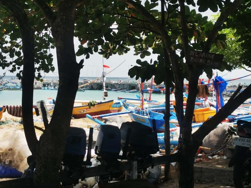 Jimbaran: Exotic Culinary Fish and Seafood Tour - An Introduction to Bali’s Jimbaran Fish Market