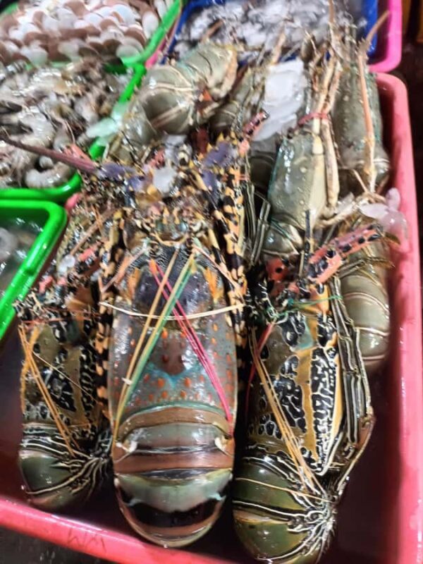 Jimbaran: Exotic Culinary Fish and Seafood Tour - The Sum Up