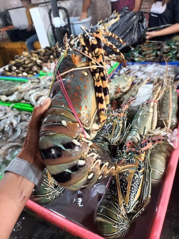 Jimbaran: Exotic Culinary Fish and Seafood Tour - FAQ