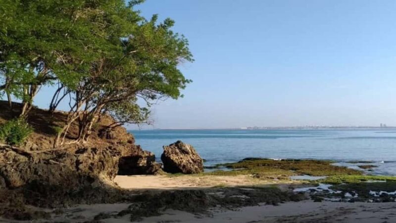 Jimbaran: Private Uluwatu Fullday Tour with Hotel Transfer - Introduction: What to Expect from This Bali Full-Day Tour