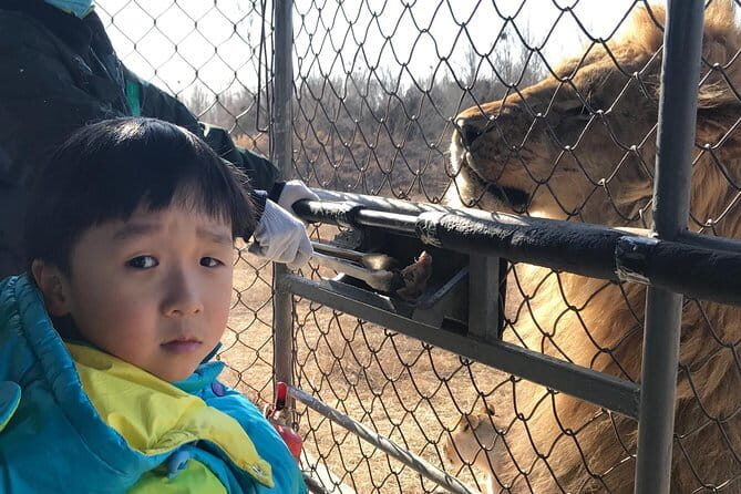 Jingdong Grand Canyon (UFO Platform) Private Trip with English Speaking Driver - Frequently Asked Questions (FAQs)