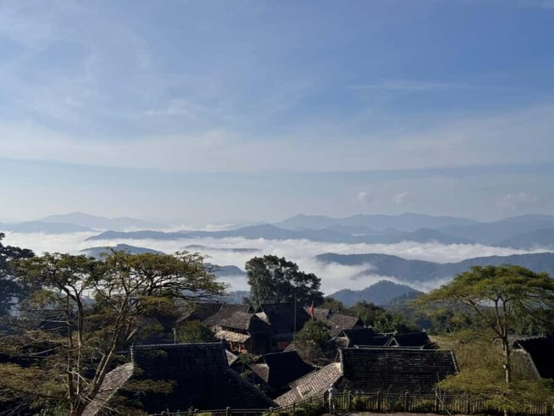 Jingmai Mountain (UNESCO) | Old Tea Forests and Dai Villages - A Closer Look at Jingmai Mountain’s Treasures