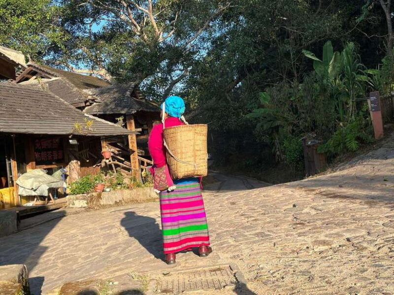 Jingmai Mountain (UNESCO) | Old Tea Forests and Dai Villages - Key Points