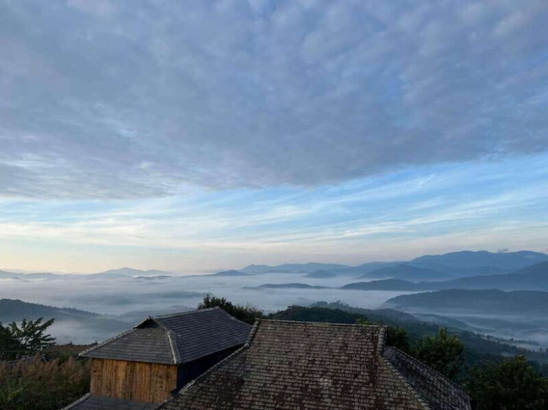 Jingmai Mountain (UNESCO) | Old Tea Forests and Dai Villages - An Inside Look at Jingmai Mountain Tours