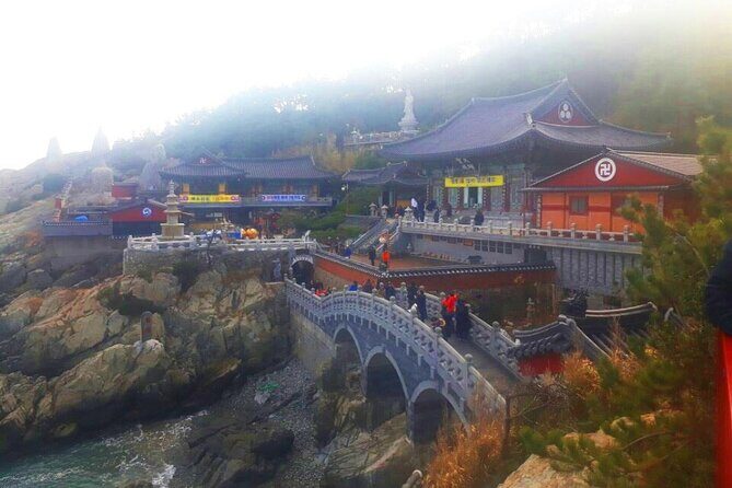 Jinhae Cherry Blossom + Busan Sunrise from Seoul - Who Will Love This Tour?