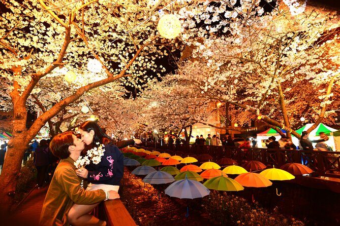Jinhae Cherry Blossom Day trip from Busan - A Spring Adventure! - Analyzing Value: Is It Worth the Price?
