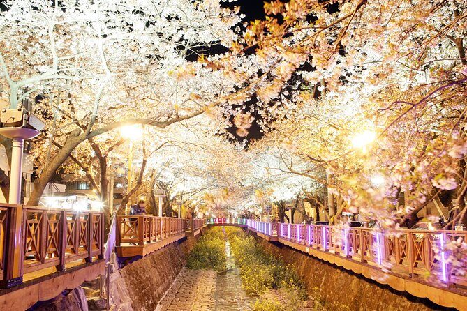 Jinhae Cherry Blossom Day trip from Busan - A Spring Adventure! - Final Thoughts