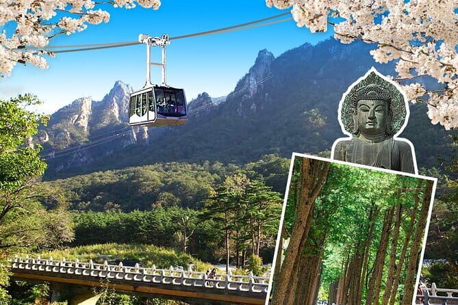 Jinhae Cherry Blossom-Yeojwacheon & Gyeonghwa St. Tour from Seoul - Weather and Bloom Conditions