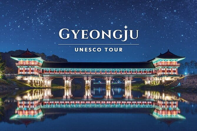 Jinhae Gunhangje Night Tour - The Cost and Its Value