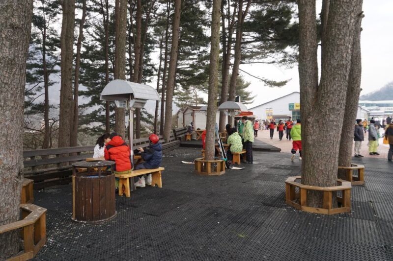 Jisan Forest Resort: Ski Full-Day Tour or Shuttle from Seoul - Jisan Forest Resort: Ski Full-Day Tour or Shuttle from Seoul — An Honest Look