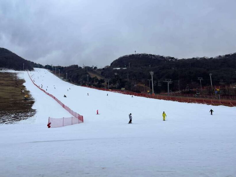 Jisan Forest Ski Resort One Day Tour - A Practical Look at the Jisan Forest Ski Resort One Day Tour