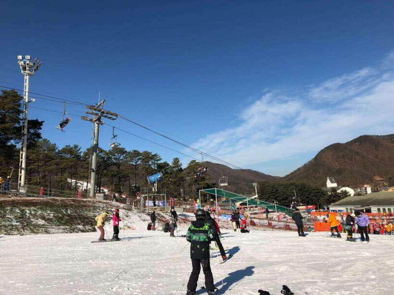 Jisan Forest Ski Resort One Day Tour - The Snowy Slopes and Facilities
