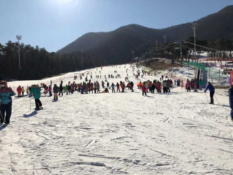 Jisan Forest Ski Resort One Day Tour - The Benefits of a Guided Day Trip