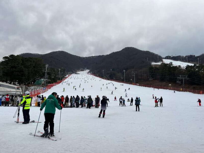 Jisan Forest Ski Resort One Day Tour - Who Will Appreciate This Tour Most?