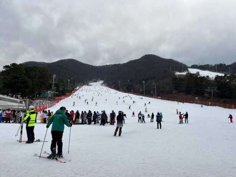 Jisan Forest Ski Resort One Day Tour - FAQs
