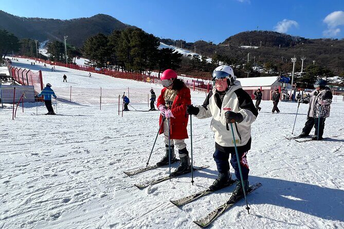 Jisan Ski Resort from Seoul by Shuttle (Optional Ski package) - The Cost-Value Balance