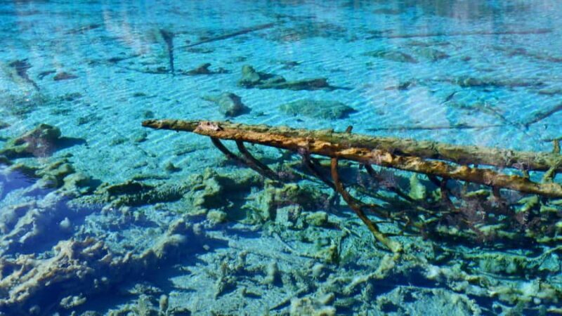 Jiuzhaigou Valley: UNESCO Colorful Lakes & Tibetan Village - What You Should Consider