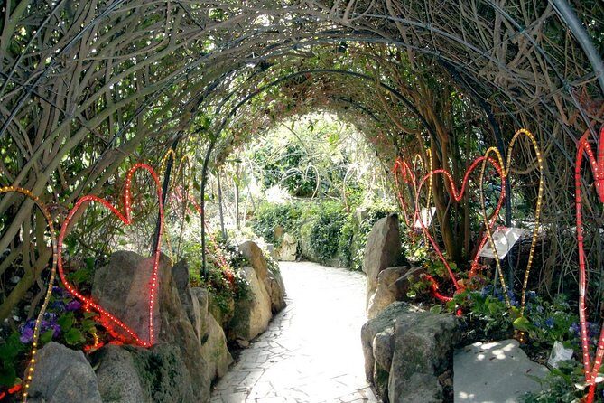 Jjimjilbang (Korean Spa) & Culture 7days 6nights - Why This Tour Offers Value