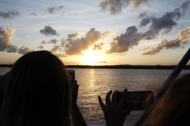 Joao Pessoa Northern Coast Beaches Day Tour - The Sum Up: Who Will Love This Tour?