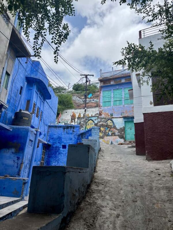 Jodhpur: Blue City Heritage Walking Tour with Guide - Key Points