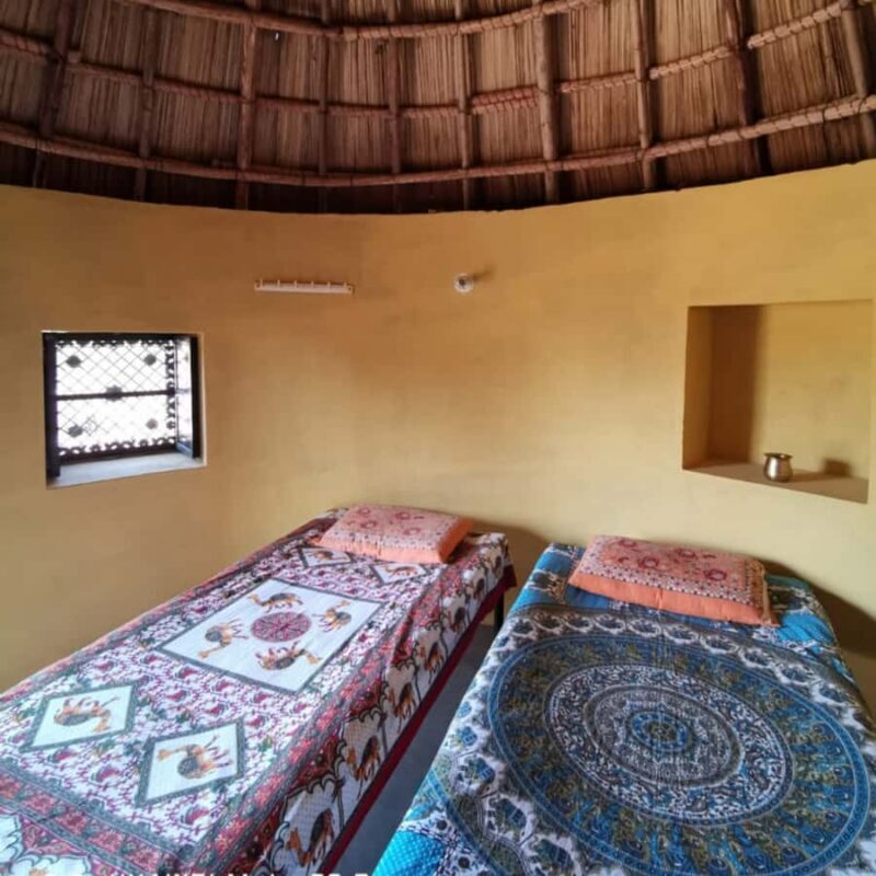 Jodhpur Camel Safari & Overnight Stay In Desert With Sumer - Key Points